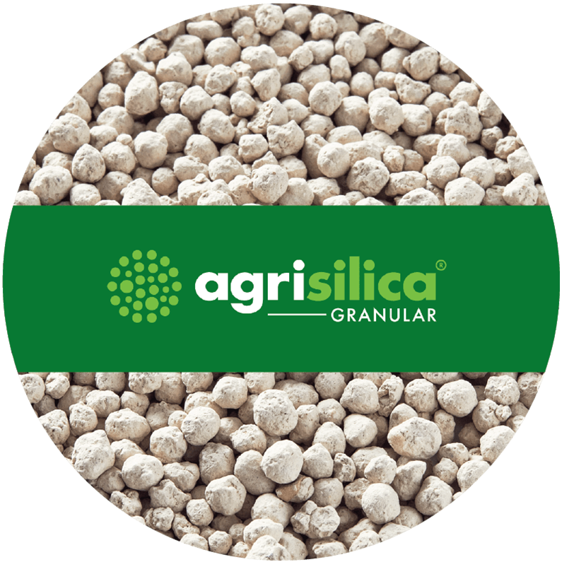 Agripower | The world’s leading Silicon Fertiliser company