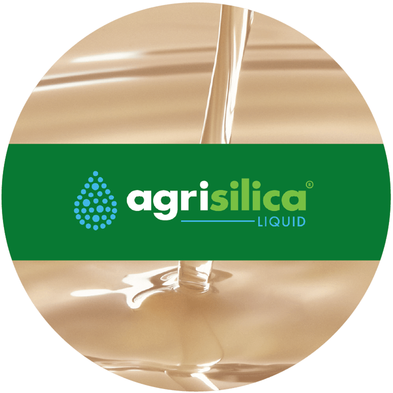 Agripower | The world’s leading Silicon Fertiliser company