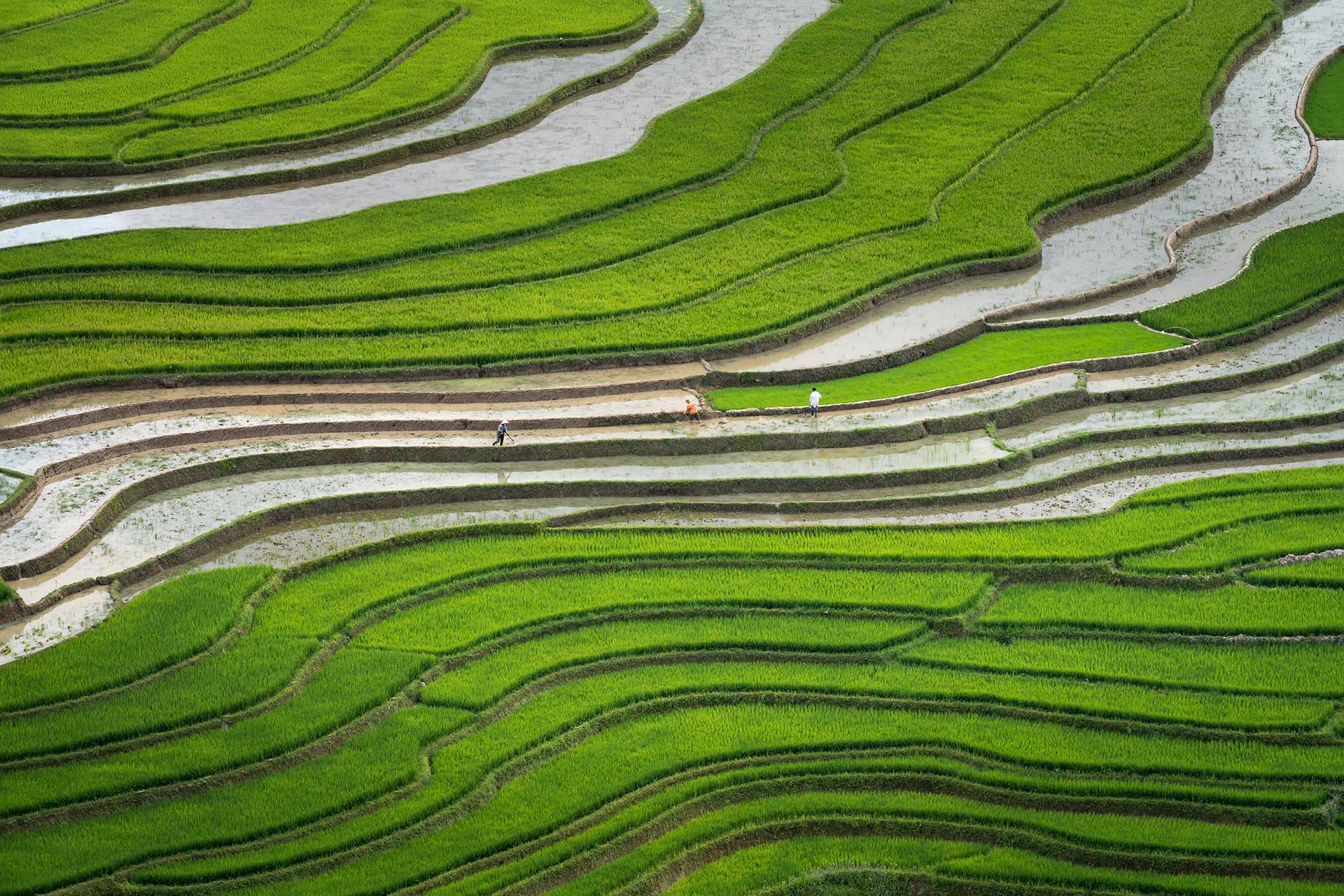 Helping farmers reduce GHG's - Agripower