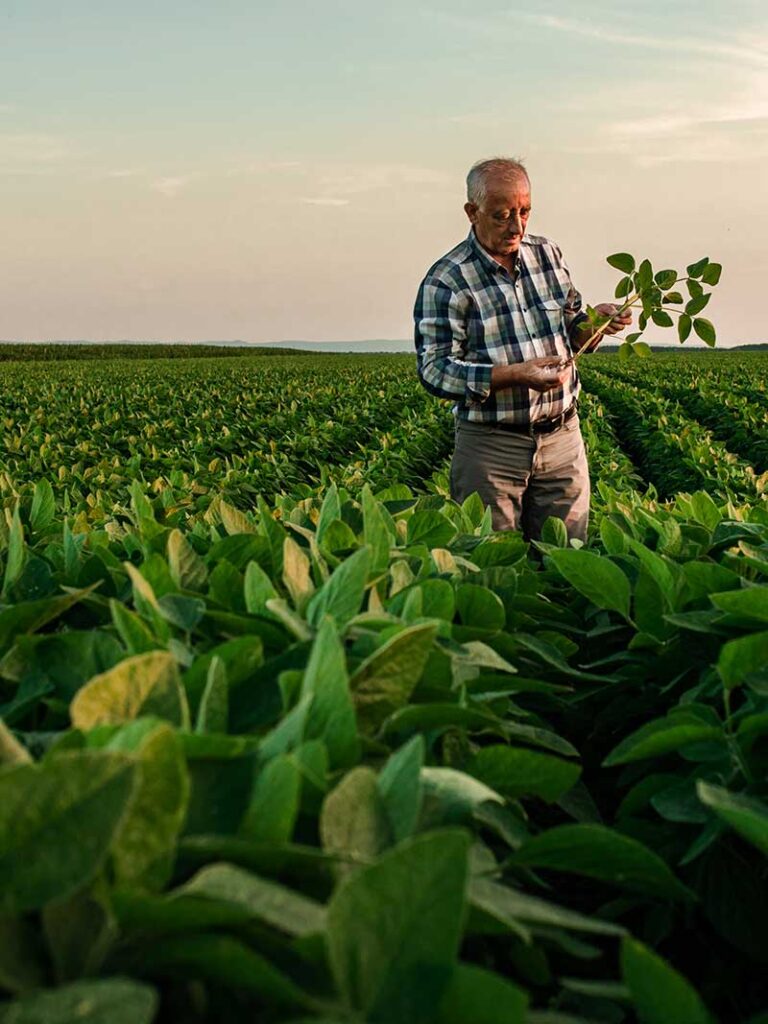 Agripower | The world’s leading Silicon Fertiliser company