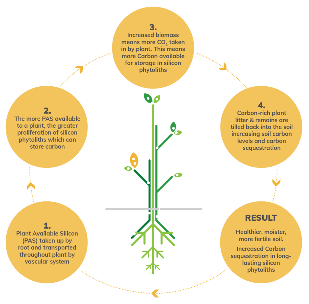 GHG's, Climate Change and Agriculture - Agripower